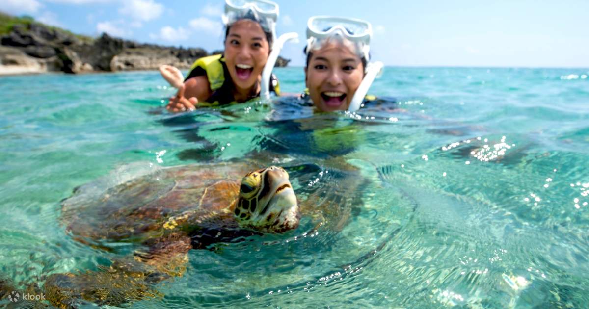 Plongée en apnée avec des tortues de mer sur l'île de Miyako - Klook ...