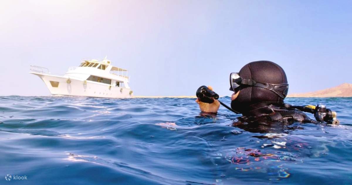 Sharm El Sheikh: Tour in Crociera all'Isola di Tiran con Immersioni ...