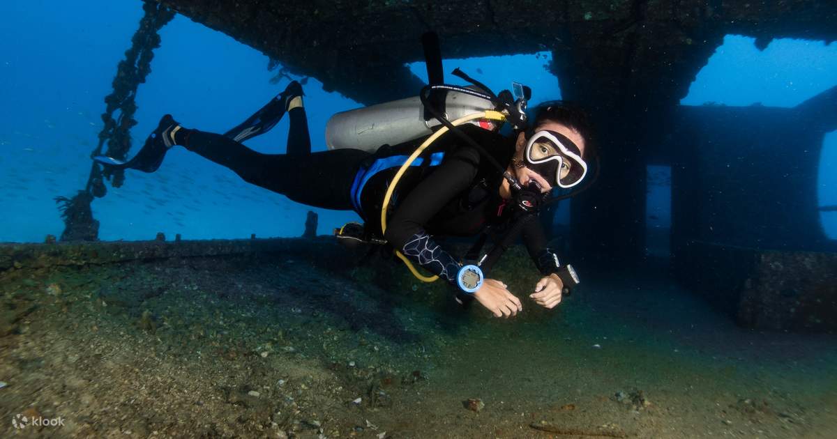 Dive into Excellence: PADI Advanced Open Water Diver in Bali with PADI ...