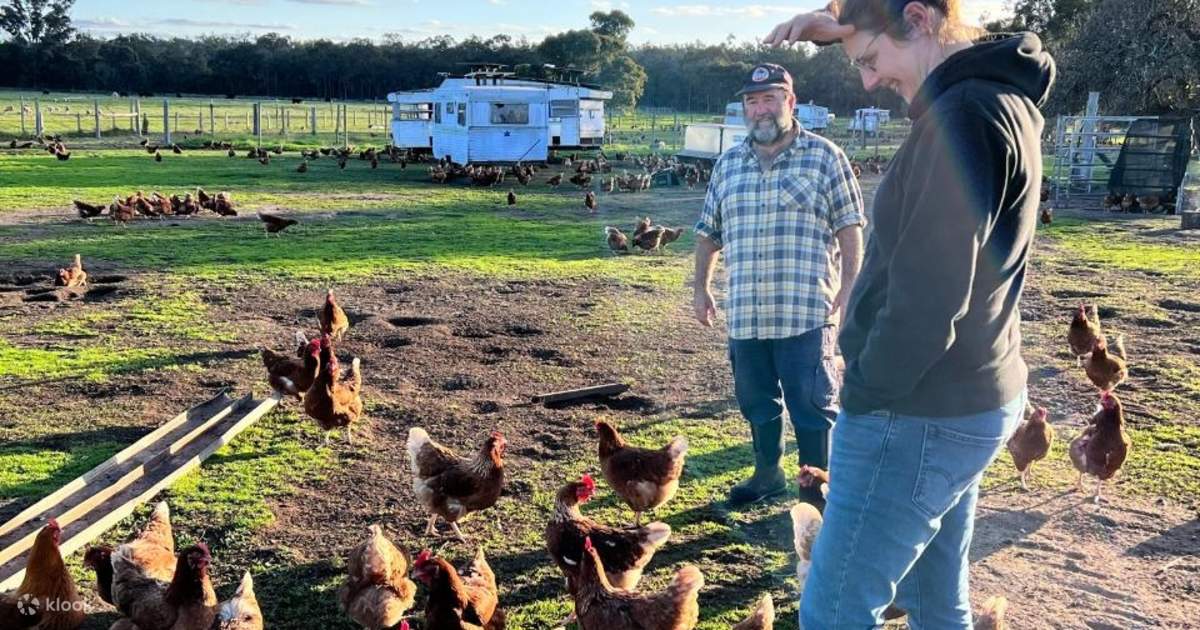 Full Day Farm and Food Tour in Busselton - Klook United Kingdom