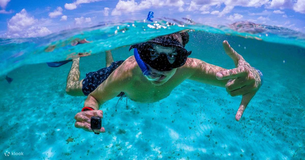 Cozumel Snorkel Tour: El Cielo Bay, Palancar Reef & Playa Mia - Klook ...