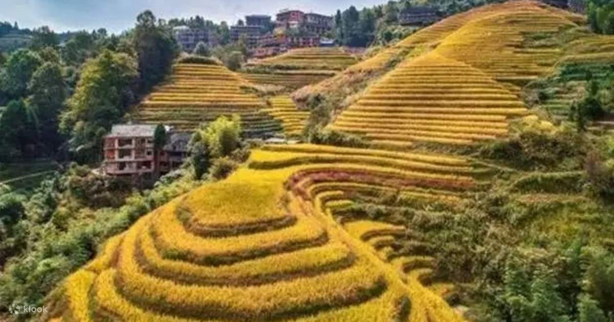Private 1-day tour from Guilin to Longji Rice Terraces, Ping'an Zhuang ...