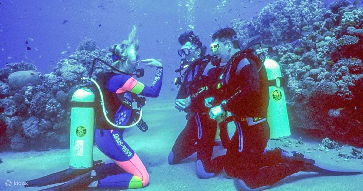 PADI Open Water 18-Meter Diving Certification in Dubai - Klook Hong Kong