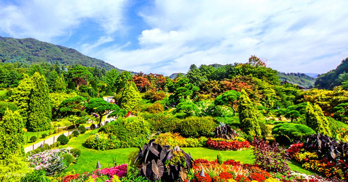 Begonia Garden-Petite&Italian Village-Jara Island Cherry Blossoms ...