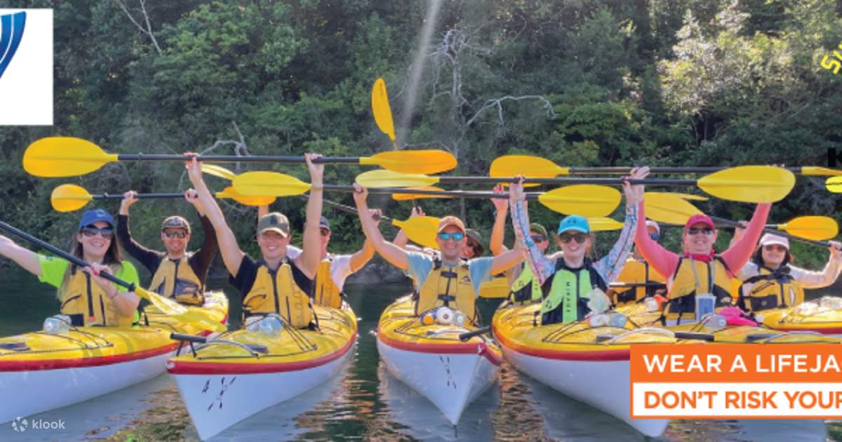 Tour ecológico en kayak por el puerto medio en kayaks por el puerto de ...