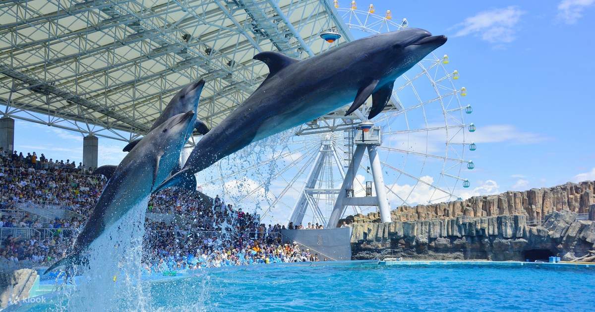 日本名古屋港水族館門票 Klook 客路