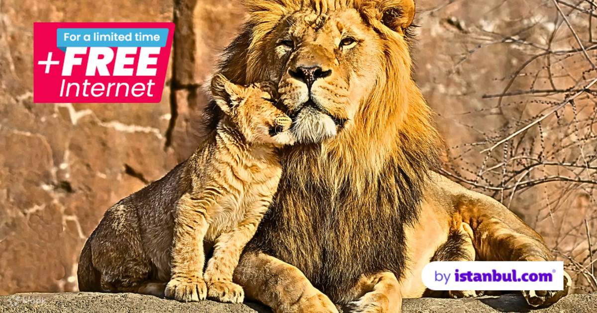 Lion Park Istanbul Zoo Ticket - Klook