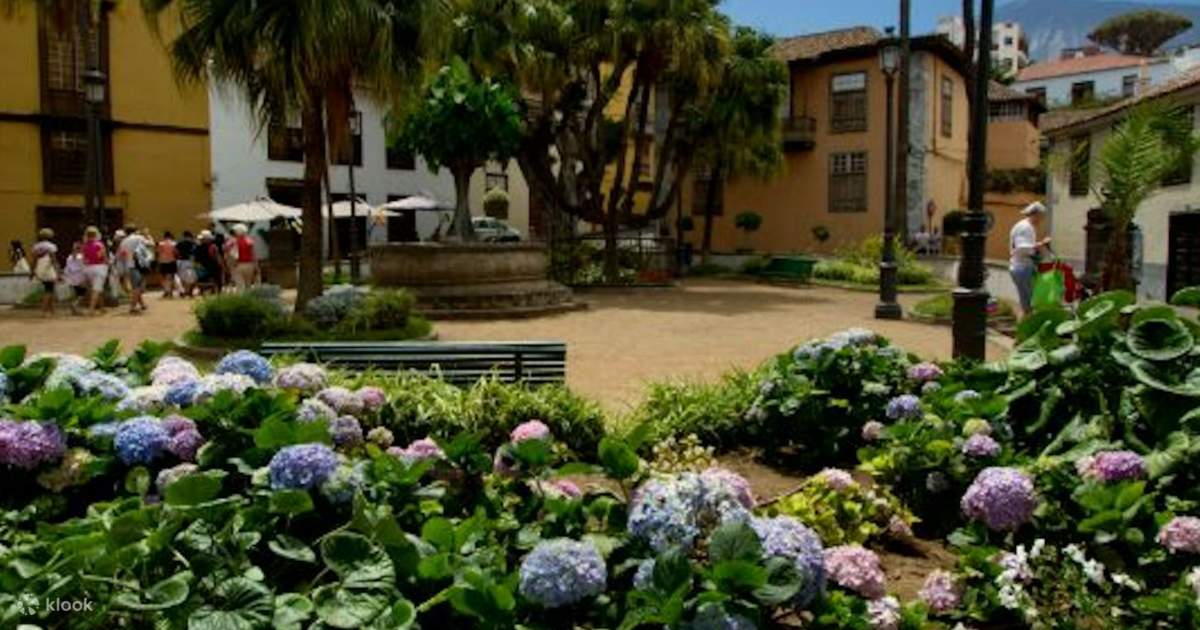 特內里費島龍血樹和植物園門票 Klook 客路