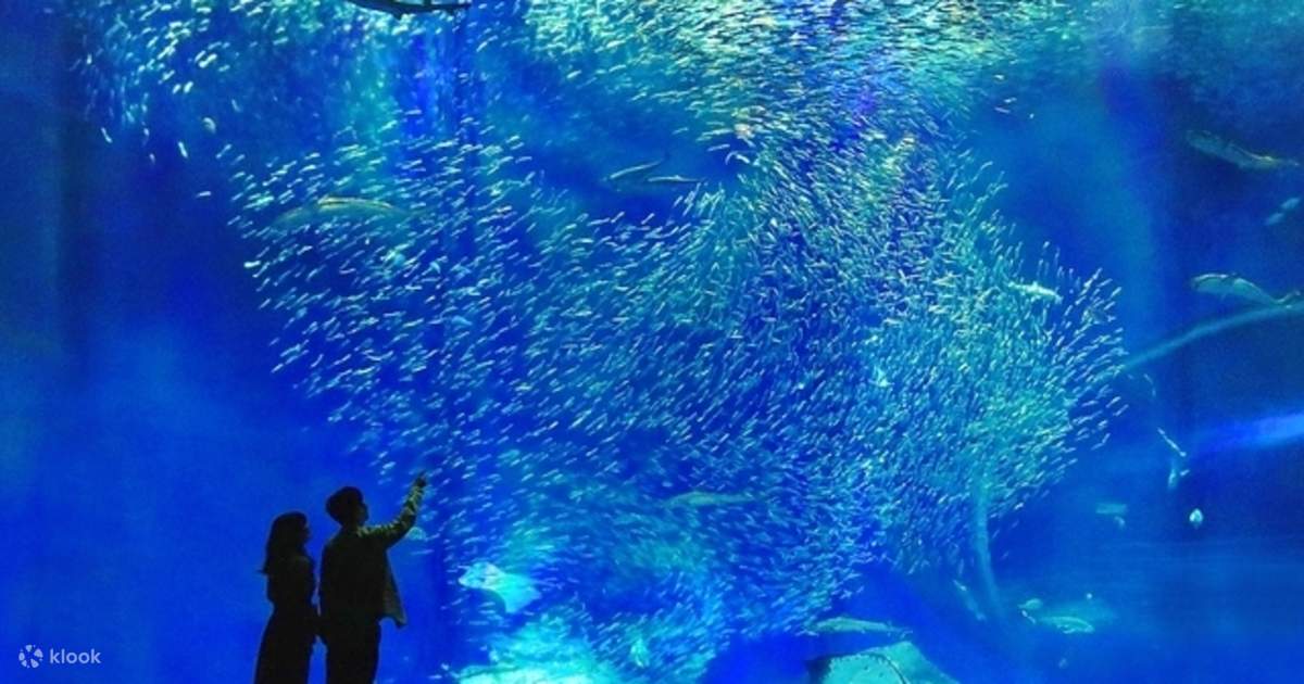 Aqua World Ibaraki Oarai Aquarium Ticket - Klook Singapore