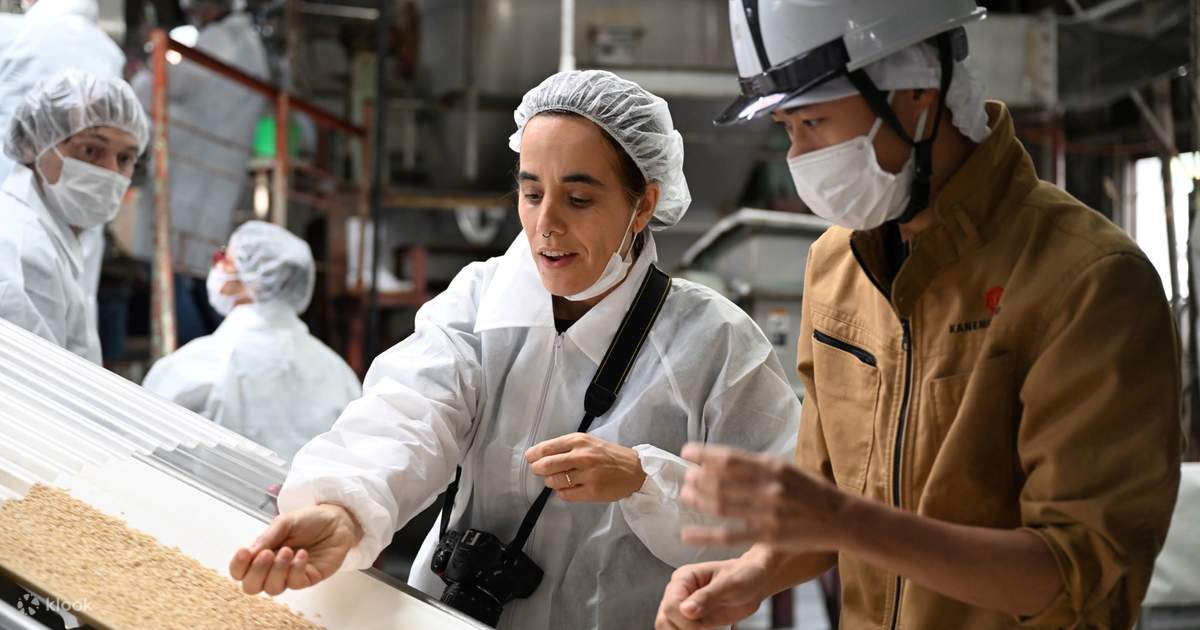 Crafts made from earth and air: Miso edition (for vegans) - Klook ...