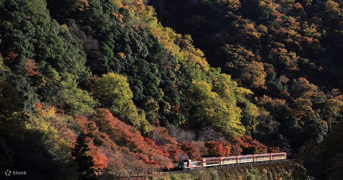 Arashiyama Tour with Optional Sagano Romantic Train Ride - Klook