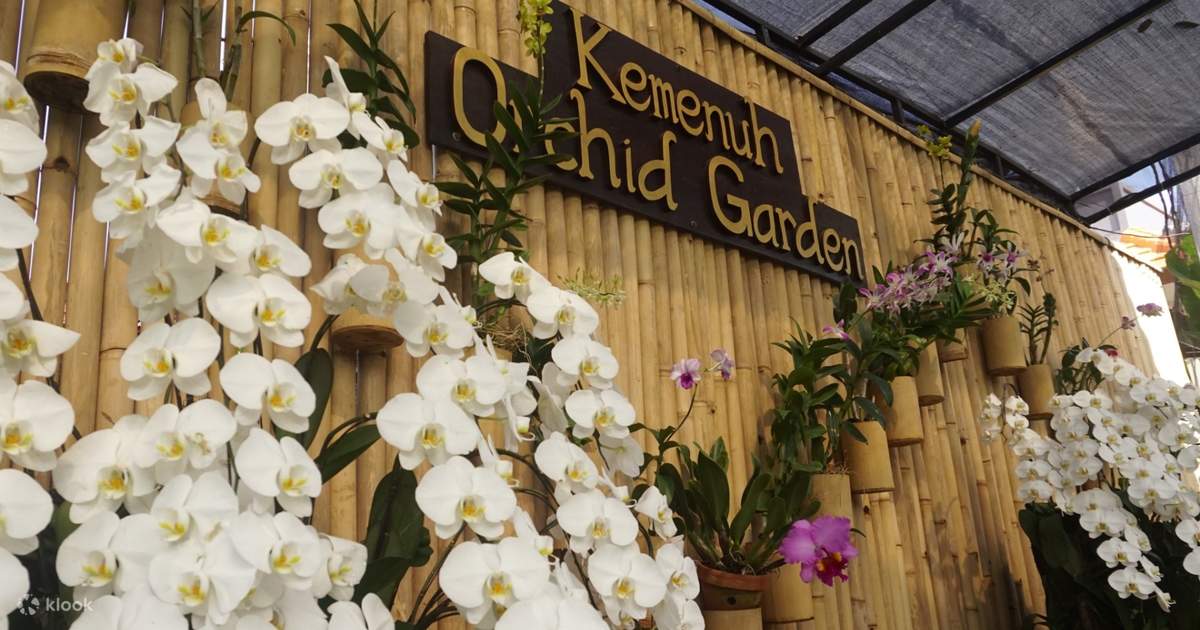 Kemenuh Orchid Garden and Dragonfly and Bonsai Park Tickets in Bali ...