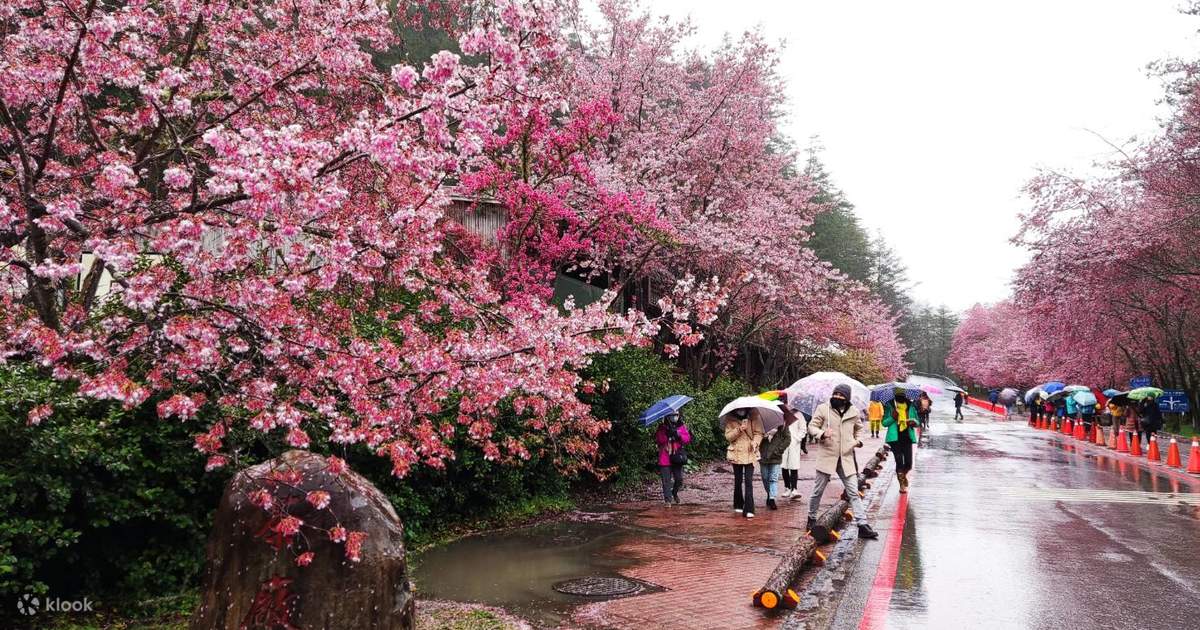 Wuling Farm Day Tour from Taipei, Taiwan - Klook Singapore