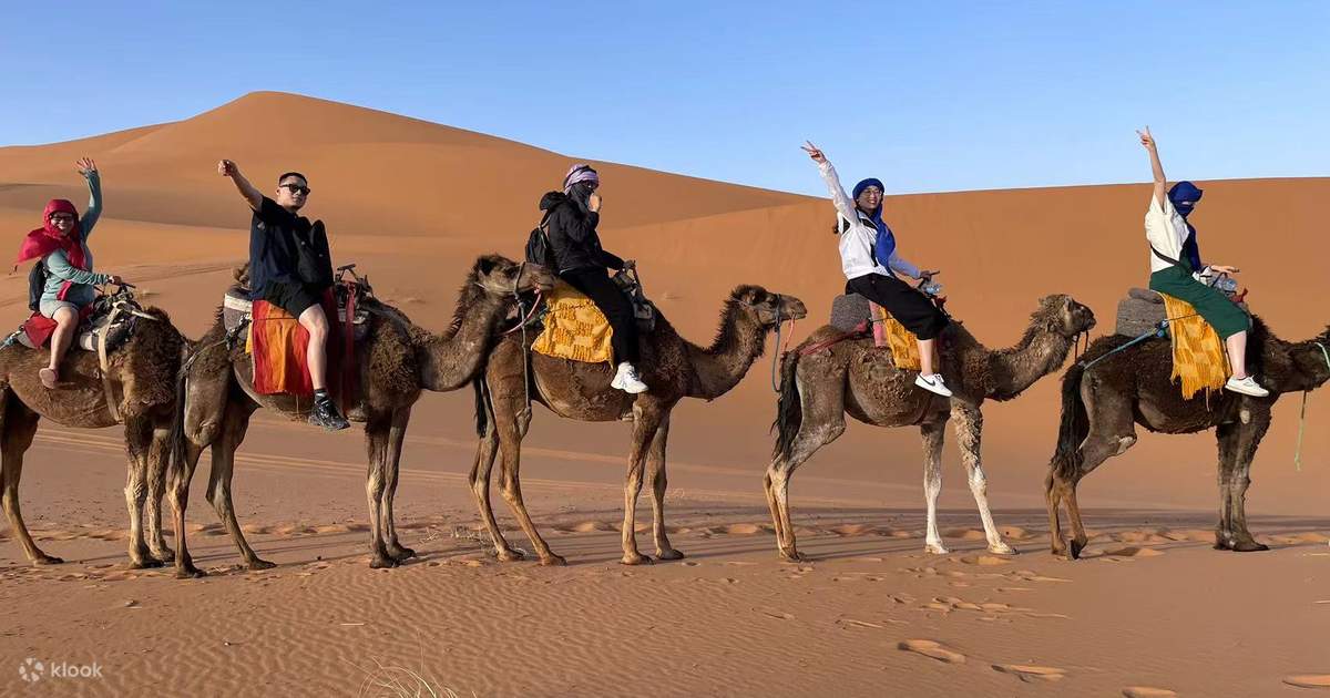 3 days and 2 nights Sahara Desert Tour: Into Marrakech - Out in Fez - Klook
