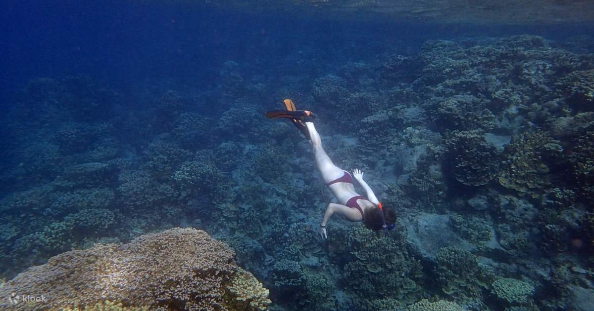 Introductory Freediving Class in Guam - 클룩 KLOOK 한국