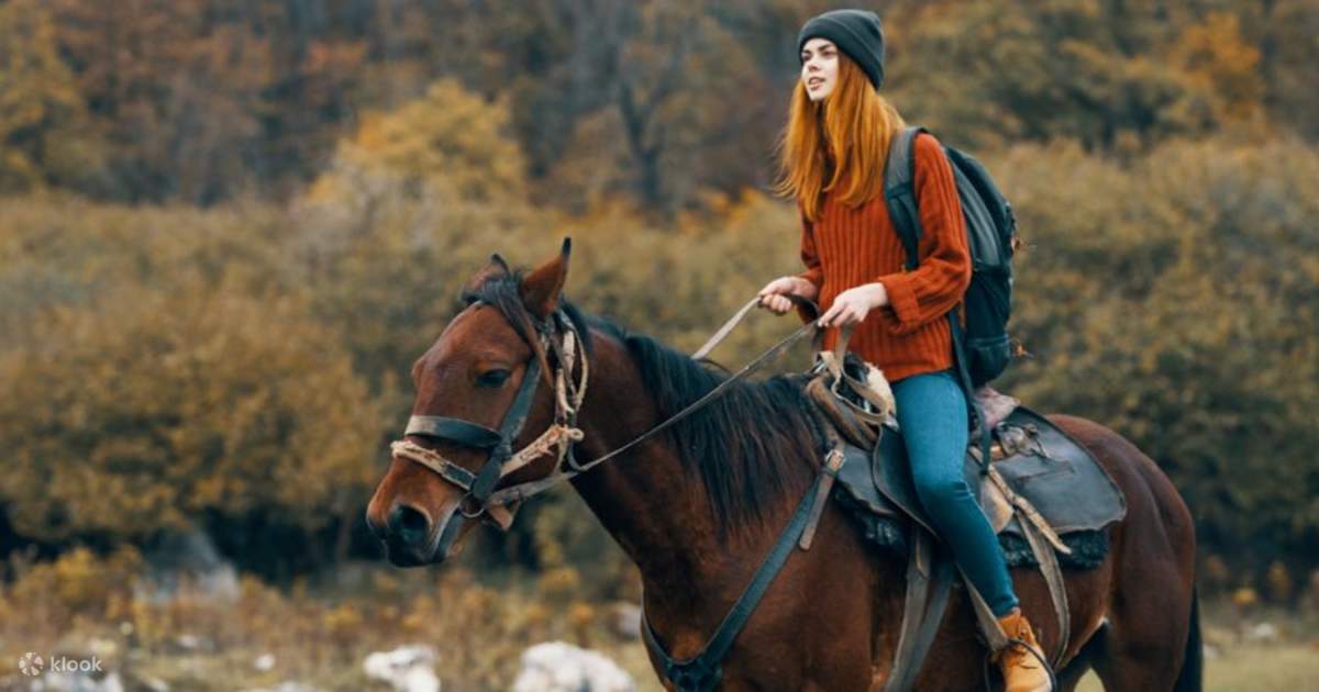 Trải Nghiệm Cưỡi Ngựa ở Khu Vực Chianti từ Siena - Klook Việt Nam