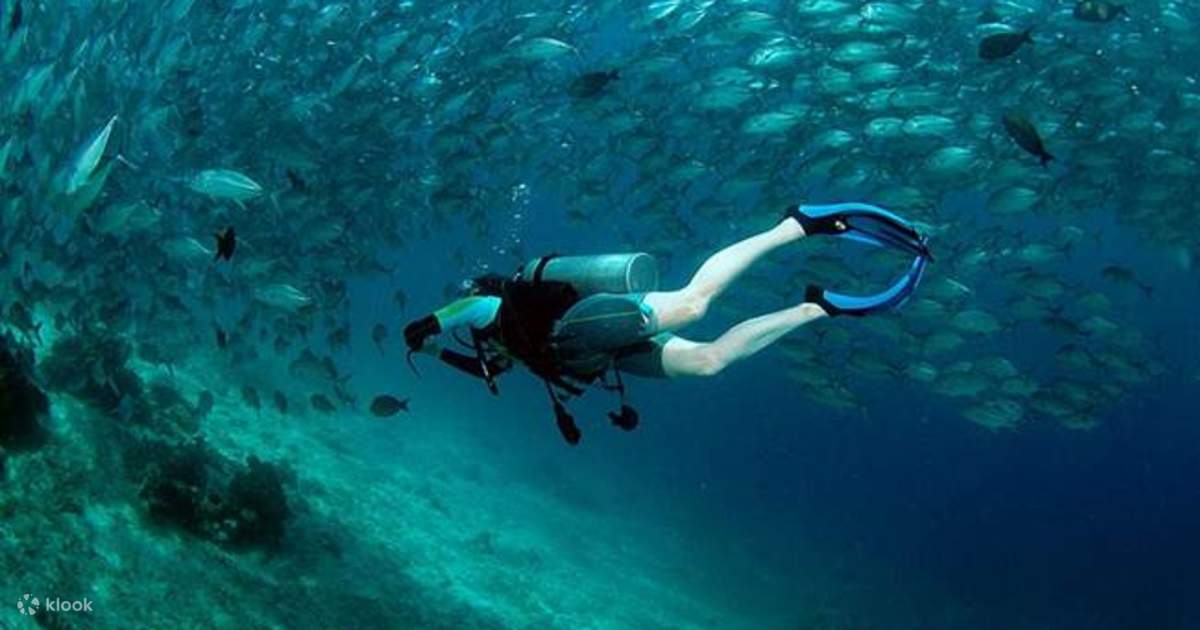 PADI Enriched Air Diver Course in Borneo with PADI 5 Star IDC - Klook