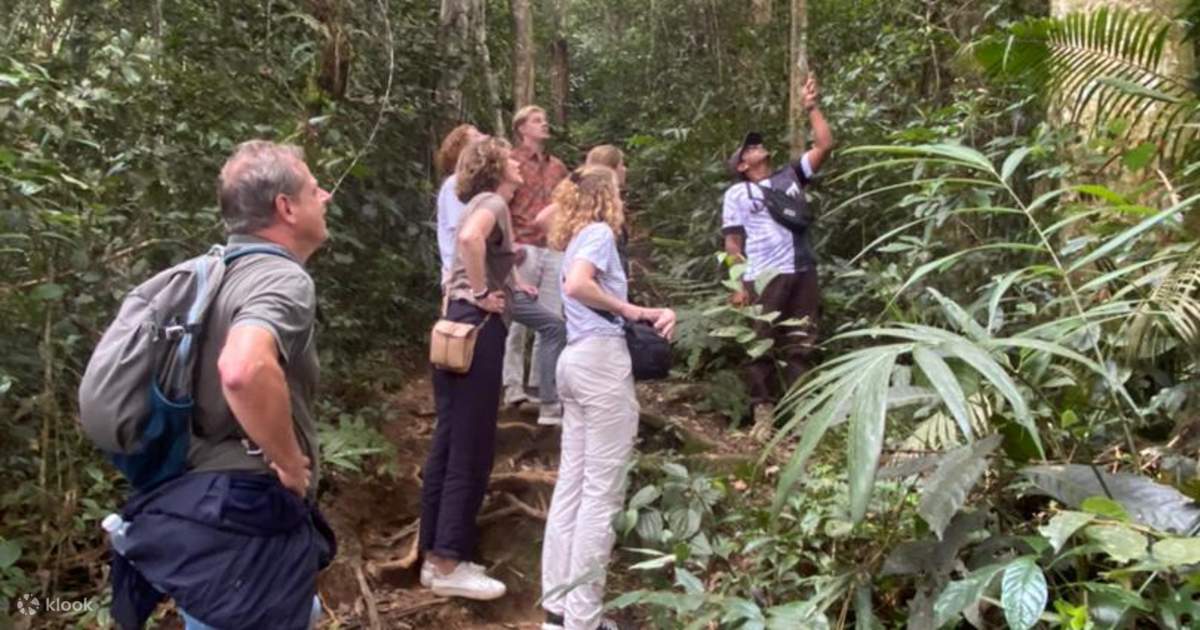 Cameron Highlands - Hit The Trail Full Day Tour - Klook