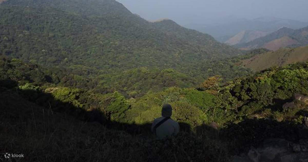 Trek To The Highest Peak Of Coorg - Tadiyandamol - Klook