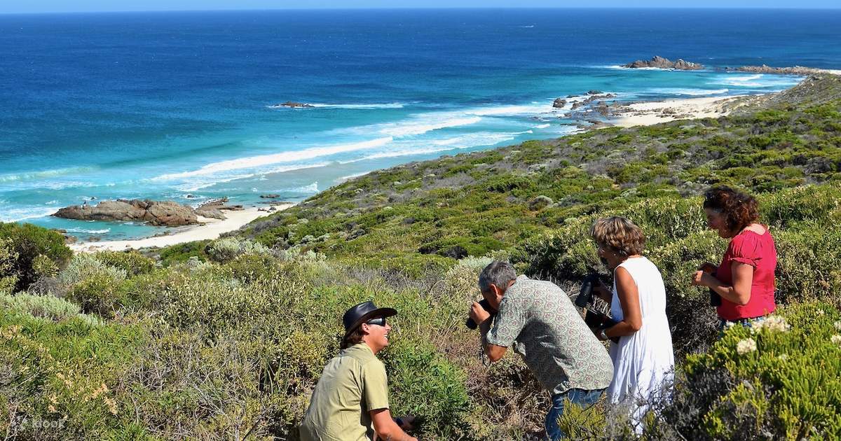 Coastal and Wildlife Eco Half Day Tour - Klook