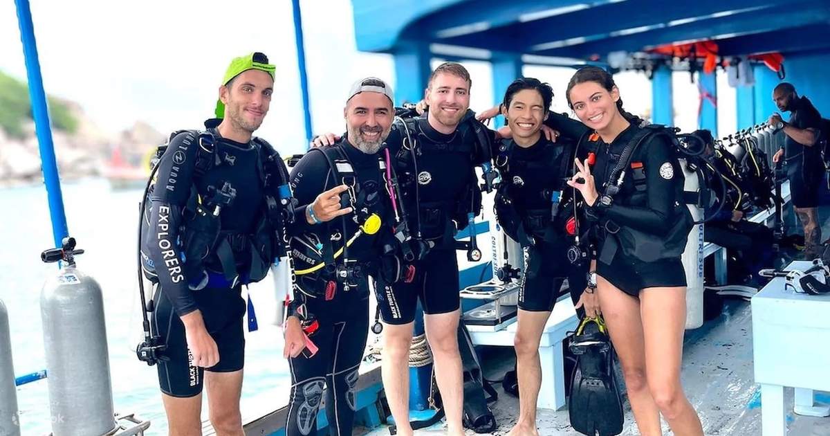Experience PADI Discover Scuba Diving in Koh Tao with PADI 5 Star CDC ...