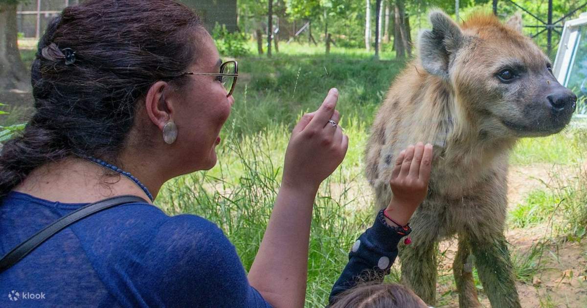 Safari Thoiry ticket in Paris - Klook Canada