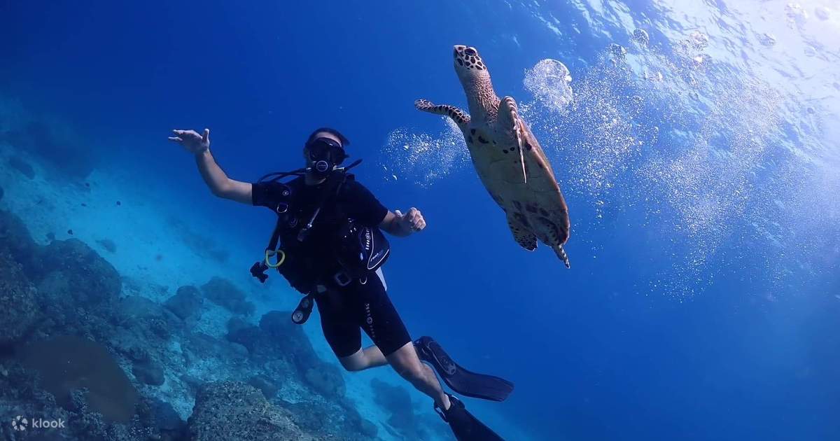 Kursus Selam Scuba Pribadi Racha Yai Sehari Penuh dari Phuket - Klook ...