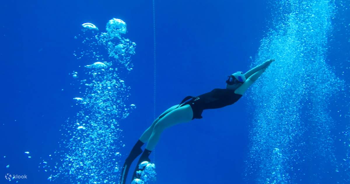 Daejeon Freediving One-Day Class Experience - Klook United States