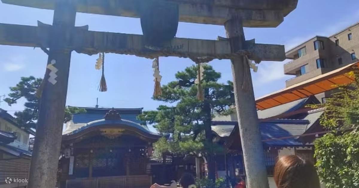 Online Reservation for Kyoto Hanamachi Guided Tour - Klook New Zealand