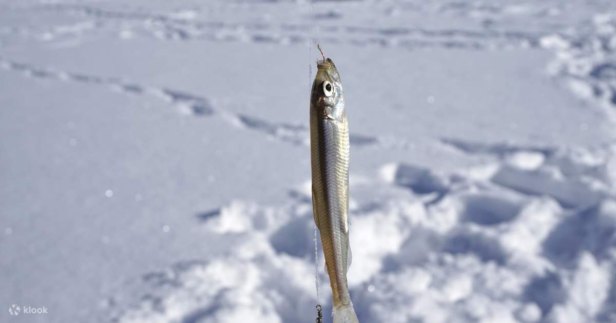 Smelt Fishing and Winter Strawberry picking in Hokkaido - Klook United ...