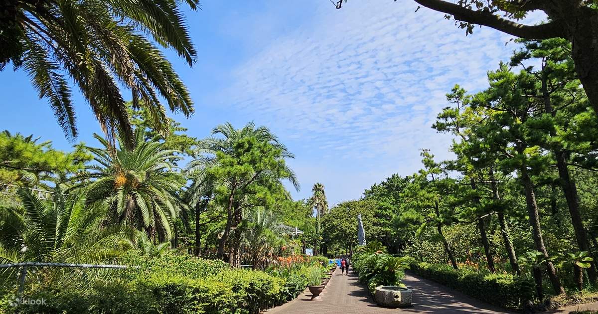 Tiket masuk Hallim Park di Jeju - Klook Indonesia