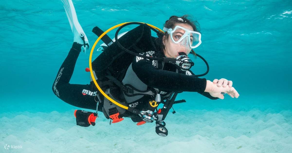 Cobalah Pengalaman Menyelam Scuba di Madeira - Klook Indonesia
