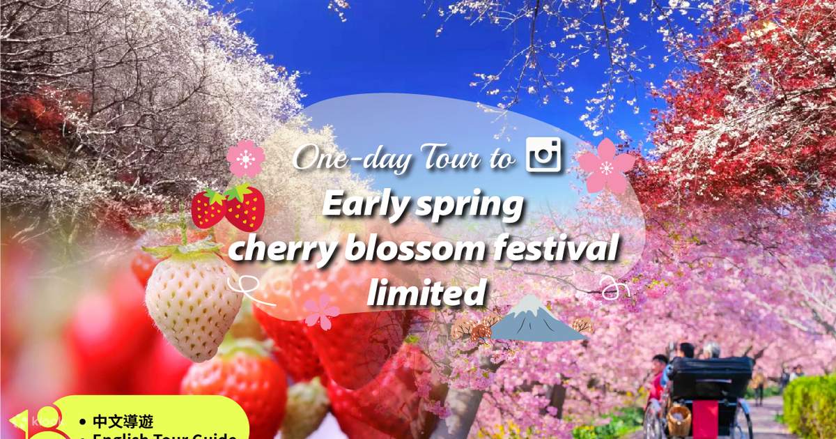 [2025 Early Spring Cherry Blossom Limited] Kawazu Sakura Festival ...