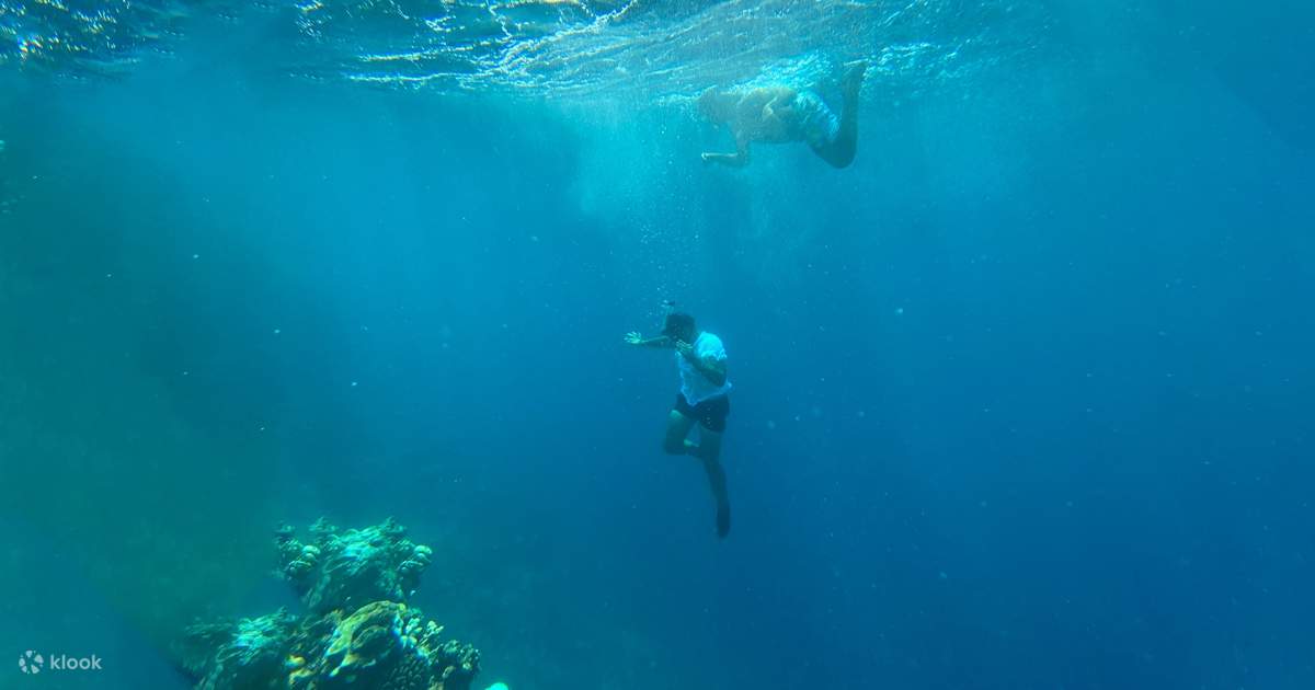 Lawatan Kapal Layar Bayi di Laut Merah - Klook Amerika Syarikat