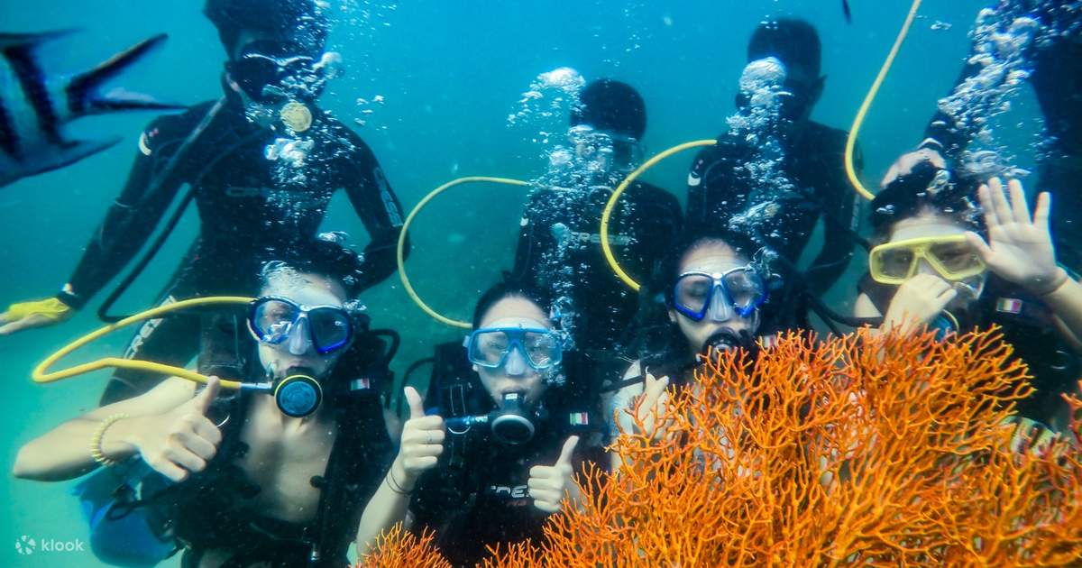 Nautilus Namaste Seawalk Experience in Phu Quoc - Klook香港