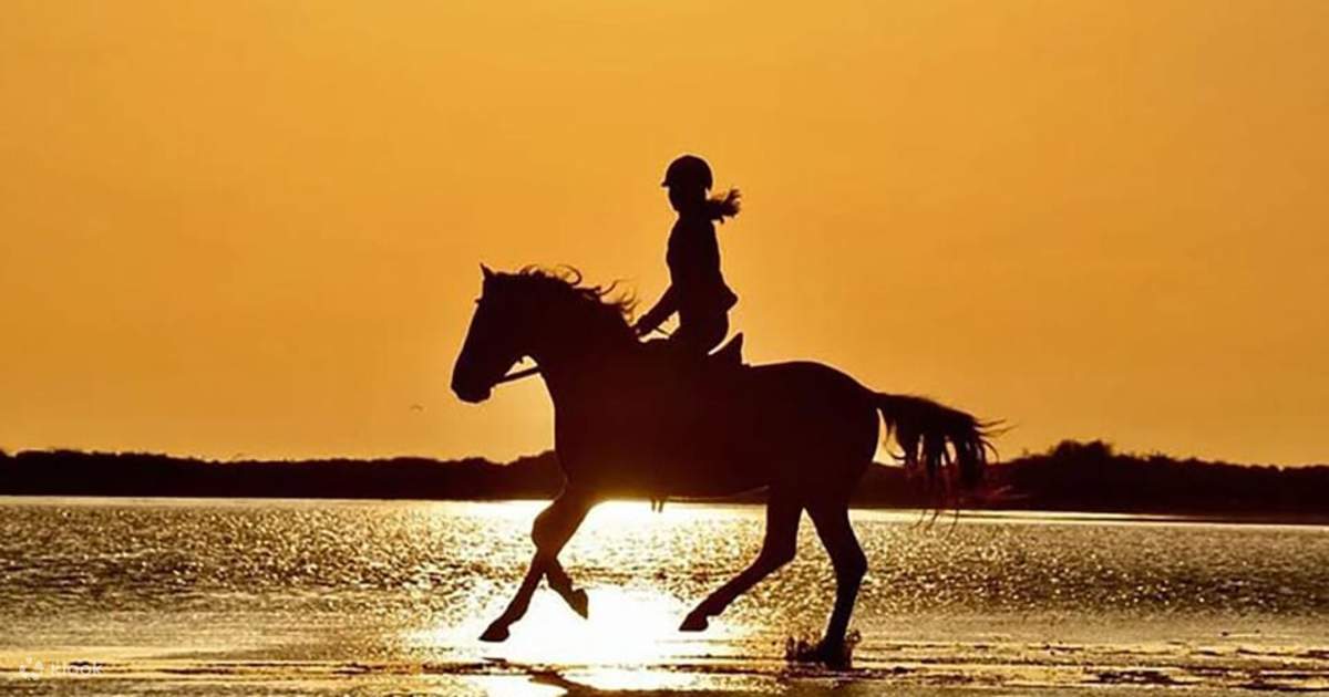 Side: Horse Riding Tour in the Forest and Beach - Klook United Kingdom
