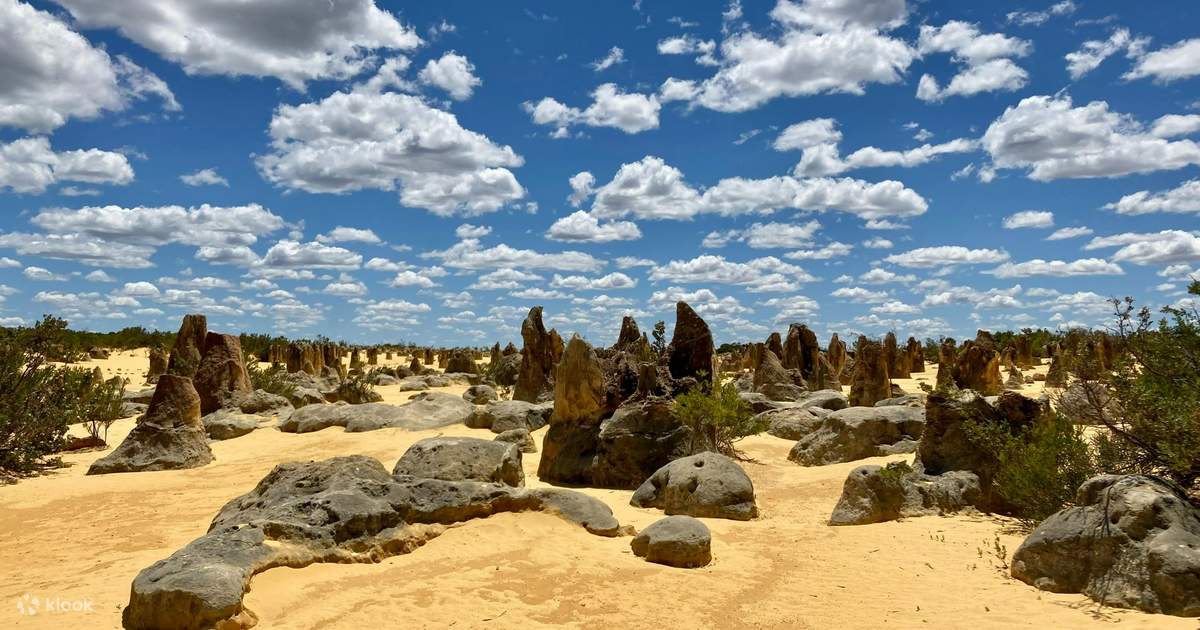 Pinnacles and Lancelin Sand Dunes Full Day Tour in Perth Bus Tour - Klook