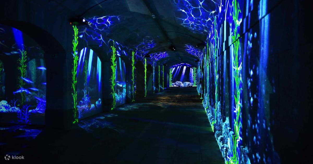 Porto Legends Tickets: The Underground Experience in Porto - Klook