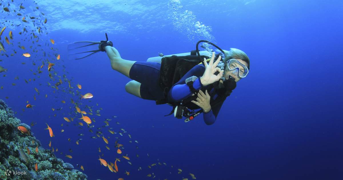 Scuba Dive for Beginners with Expert Guide - Sharm El Sheikh - Klook ...