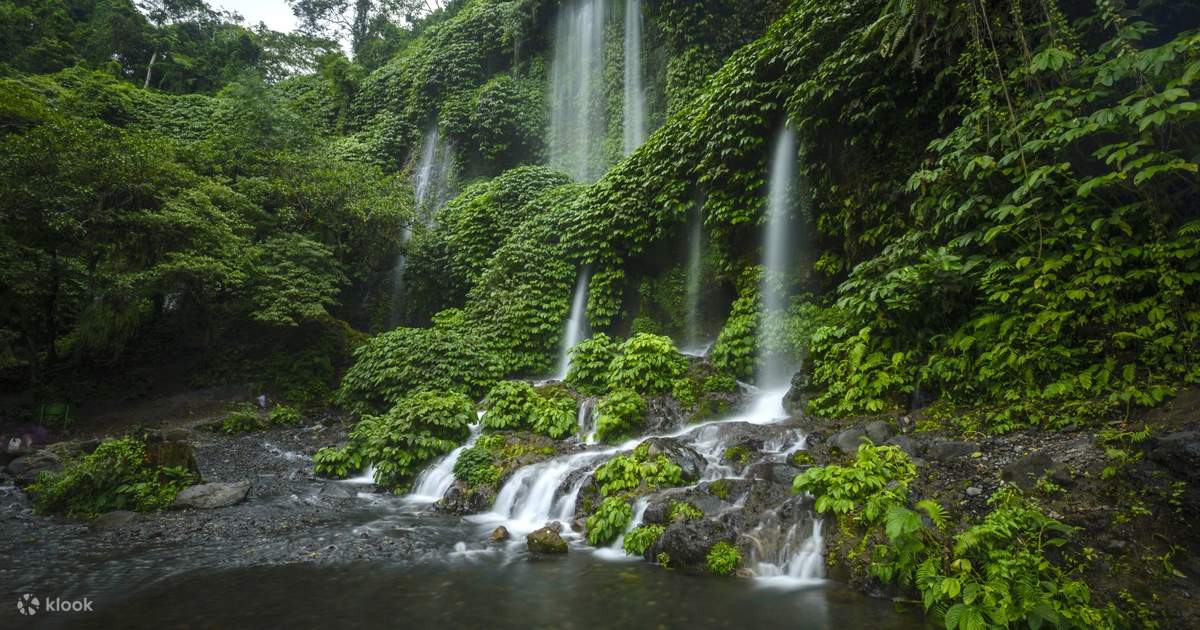 Giảm đến 45% | Lombok Waterfalls and Monkey Forest Private Day Tour ...