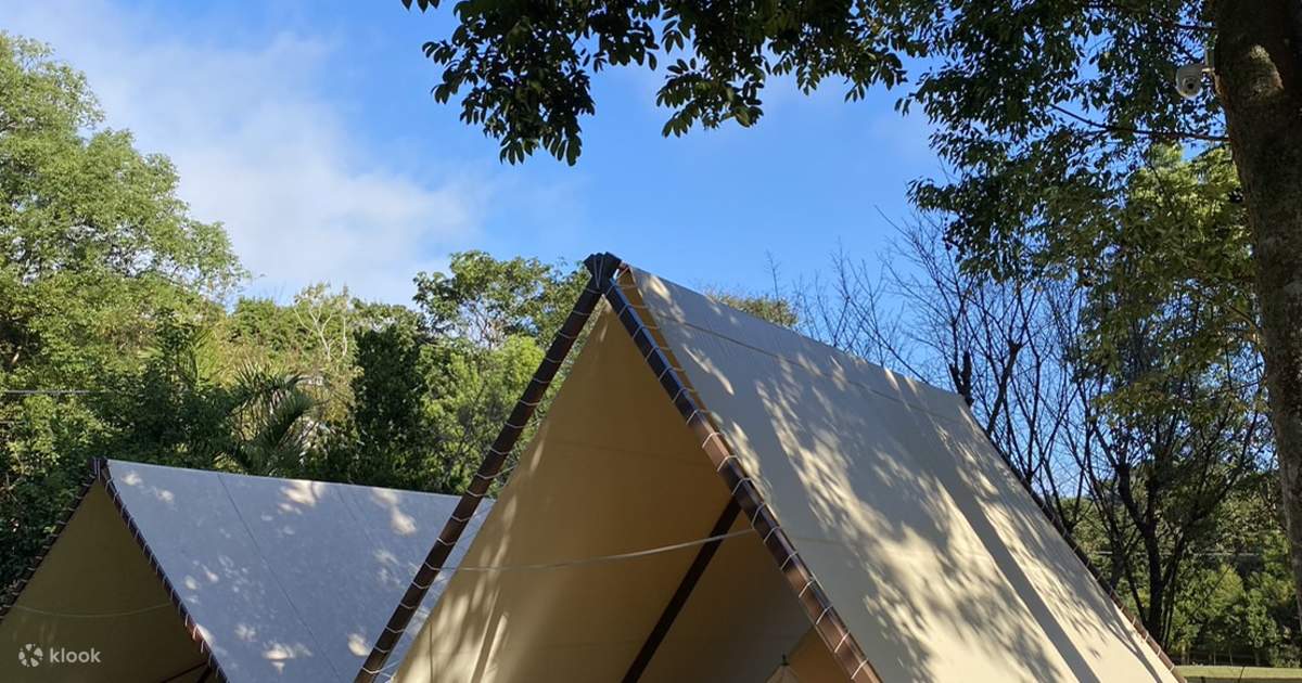 Miaoli: Bell Tent Glamping Experience in Whispering Tree Campground - Klook