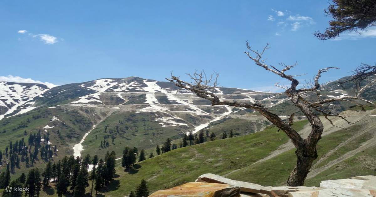 Sinthan Top Private Tour from Srinagar - Klook Stati Uniti