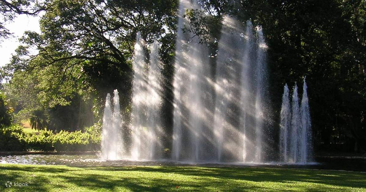 Darwin City Explorer Tour - Klook