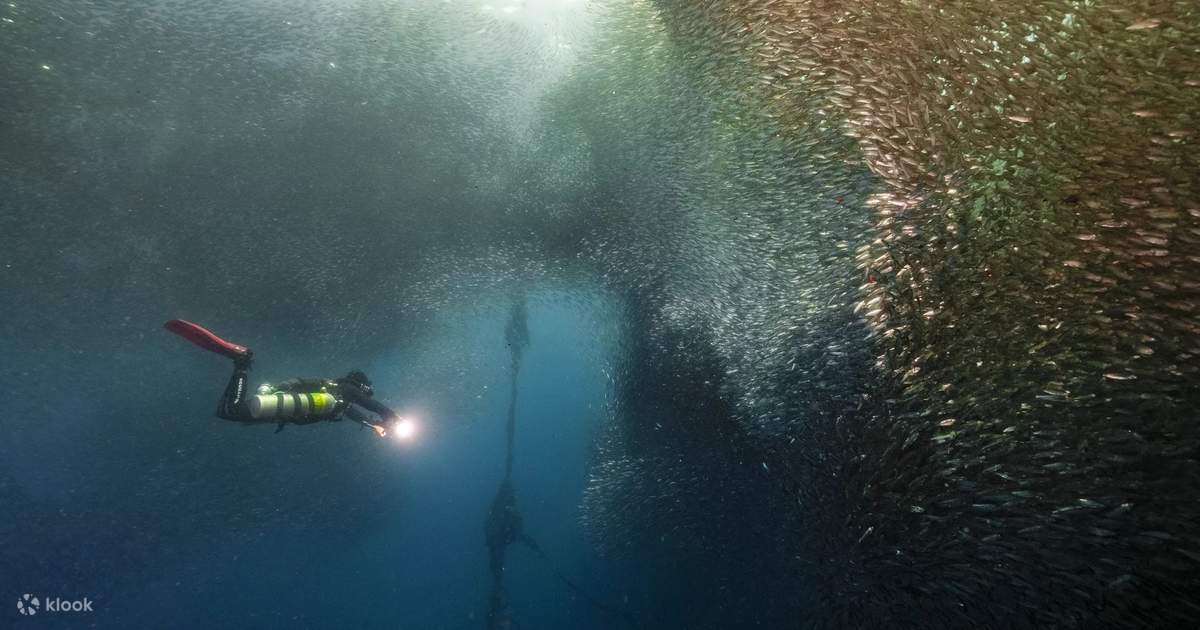 Learn PADI Enriched Air Diver (E-learning) in Cebu | PADI 5 Star Dive ...