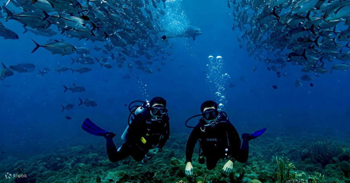 Maithon Private Island Small Group Scuba Diving: 2 Dives Half Day - Klook