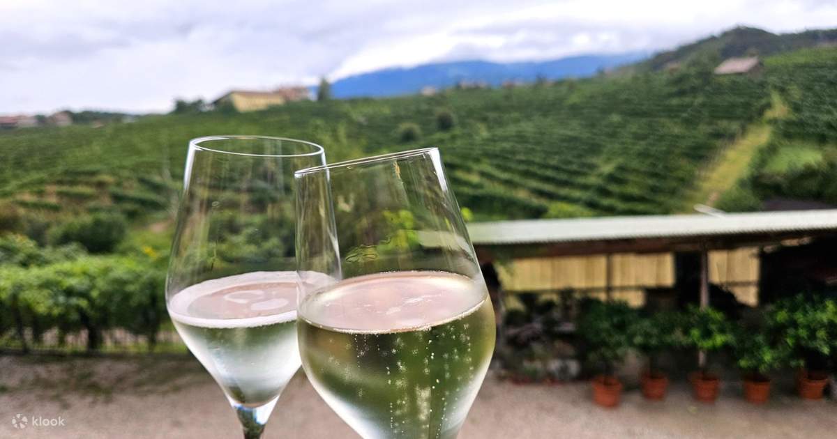 Prosecco full day tour with wine tasting and lunch from Venice - Klook
