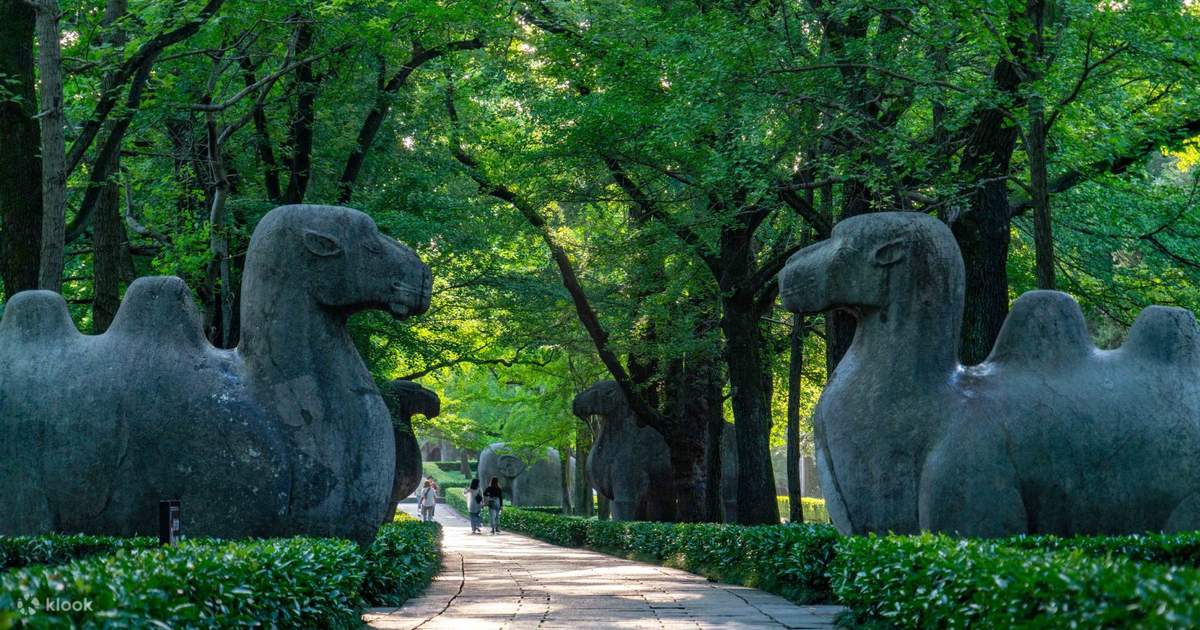 Nanjing Private Day Tour: Ming Xiaoling Mausoleum, Zhonghua Gate, Zhan ...