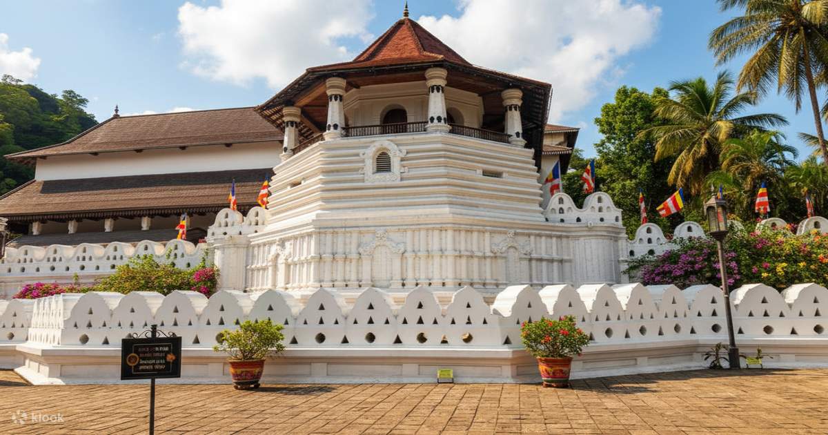 Tour di un giorno a Kandy con partenza da Colombo, Bentota o l'area di ...