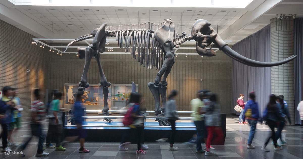 Taichung National Museum of Natural Science Main Building Exhibition ...