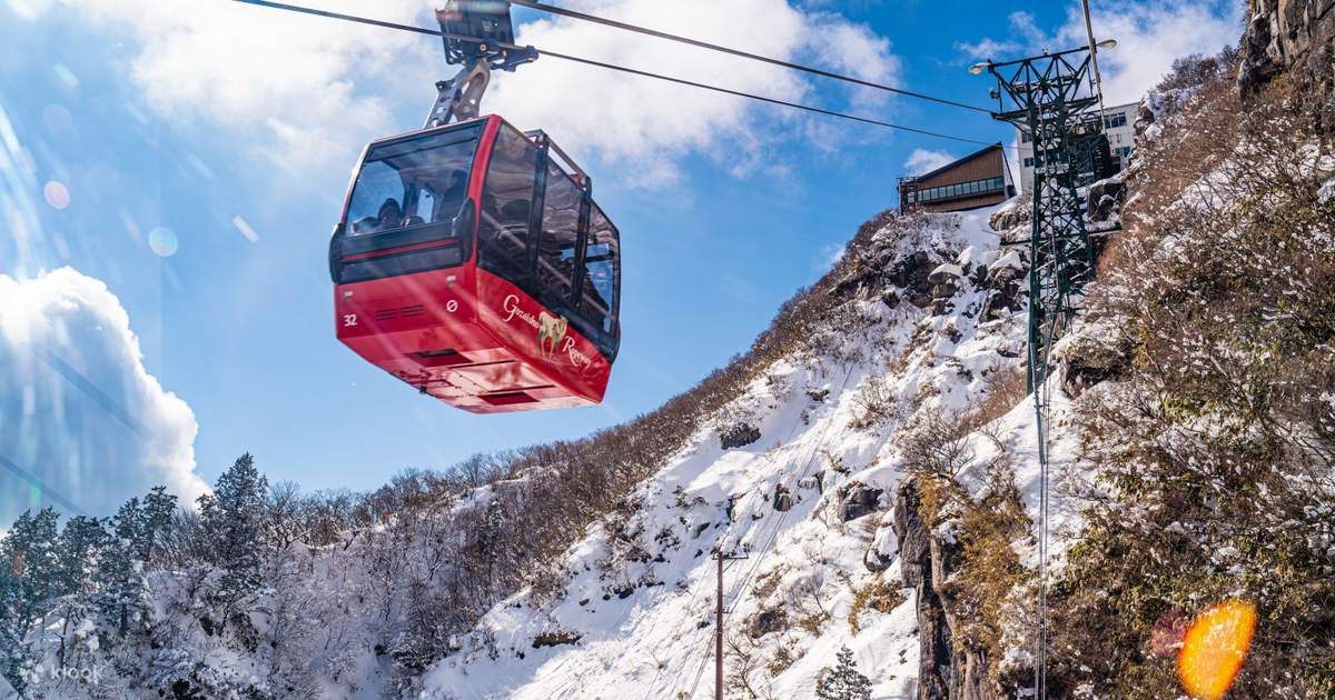 2024 Mie Gozai Ice Wonders & Famous Flowers Sato Romantic Light Show ...